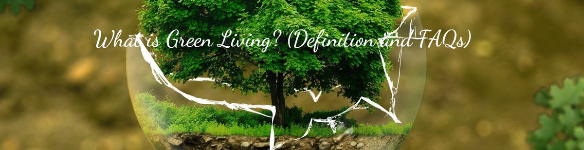 What is Green Living? (Definition and FAQs)
